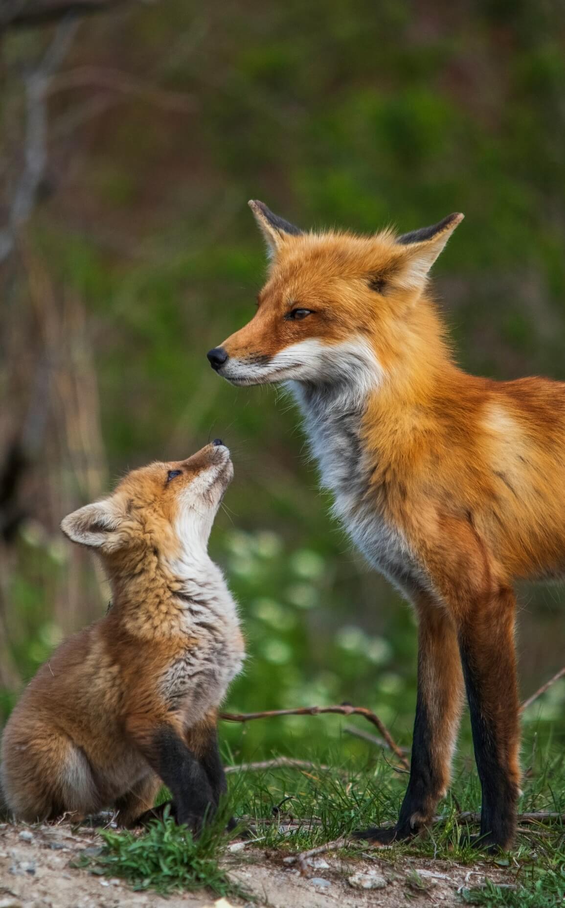 Fall 2024 • Beyond The Box Learning